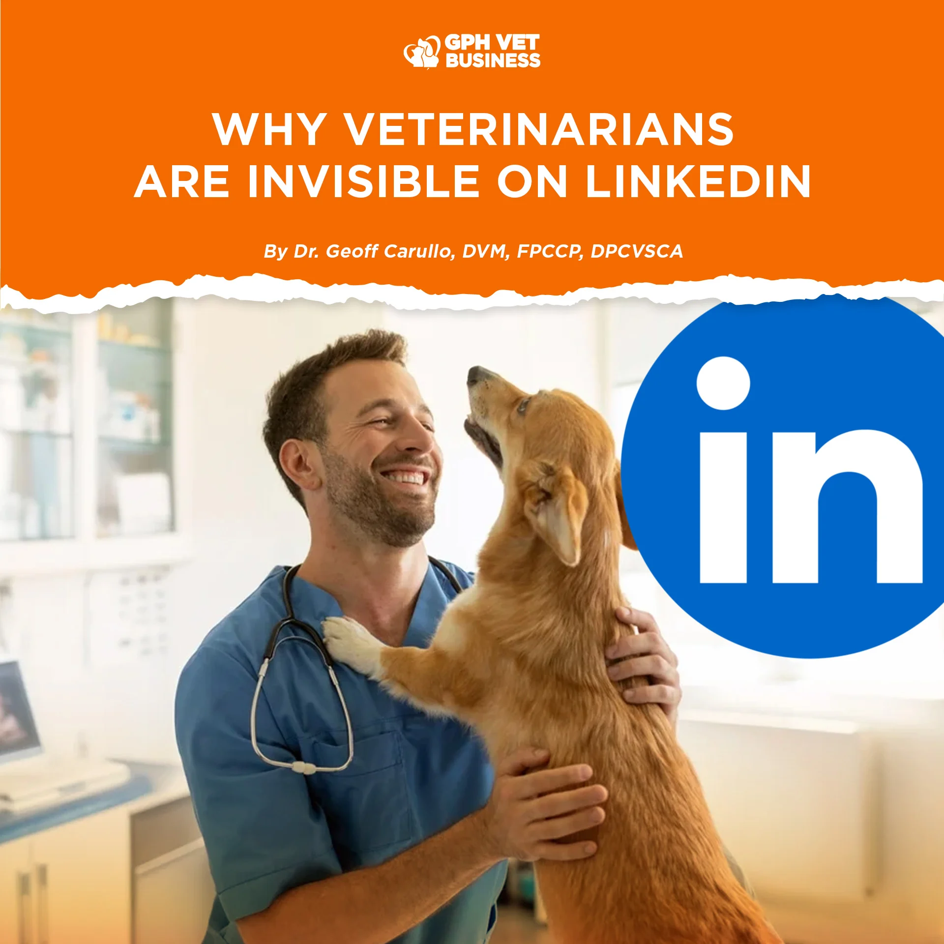 Why Veterinarians Are Invisible on LinkedIn - VET Diagnostix