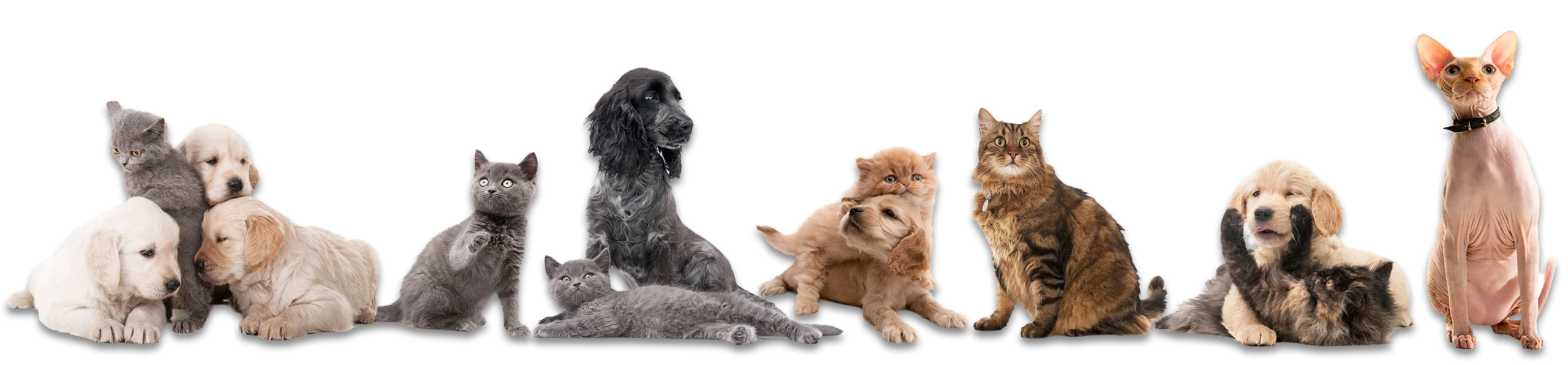 Faint Lines, Loud Truths: Interpreting Vague Positives in Lateral Flow ...